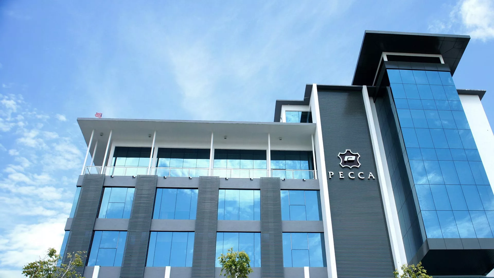 Contact Us | Pecca Group